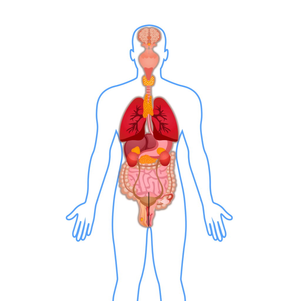 Understanding Your Body's Needs: The Science of Health - Premium Tix